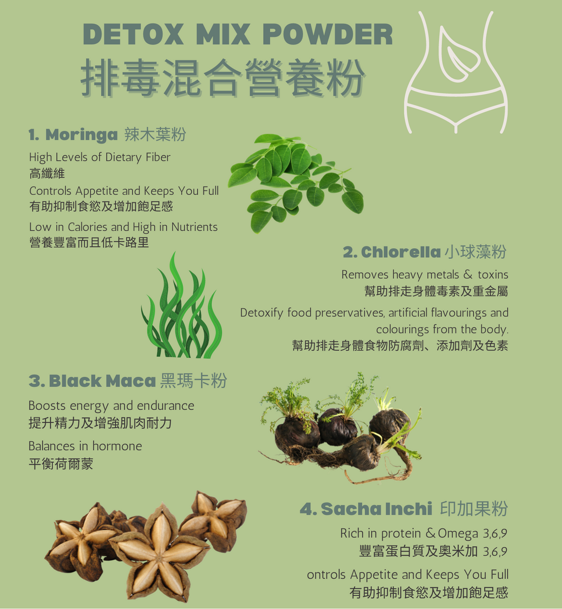 Detox Protein Mix – Blendit Hong Kong Ltd